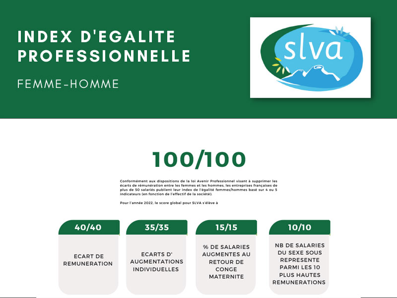 Index égalité professionnelle femme homme - Laiterie SLVA